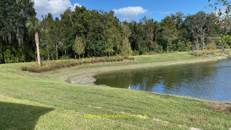 Village of Lake Denham #9258 - Property Details
